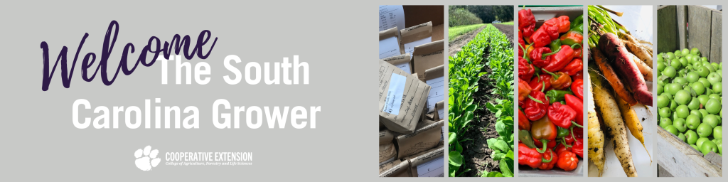 The South Carolina Grower – Fruit and Vegetable News for Growers and ...