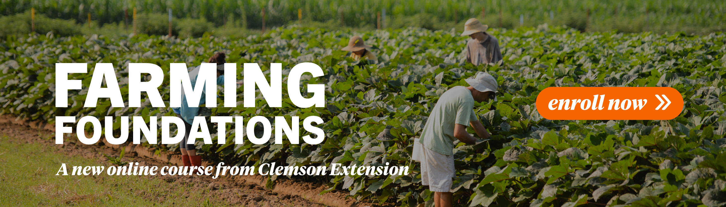Resources – The South Carolina Grower