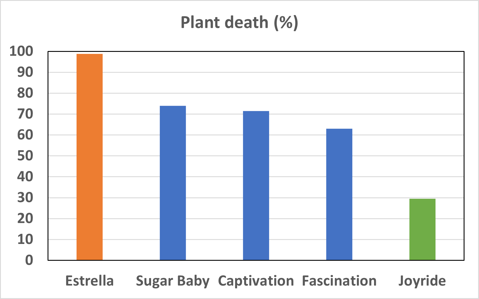 Pythium Damping-Off of Seedless and Pollenizer Watermelons – The South ...