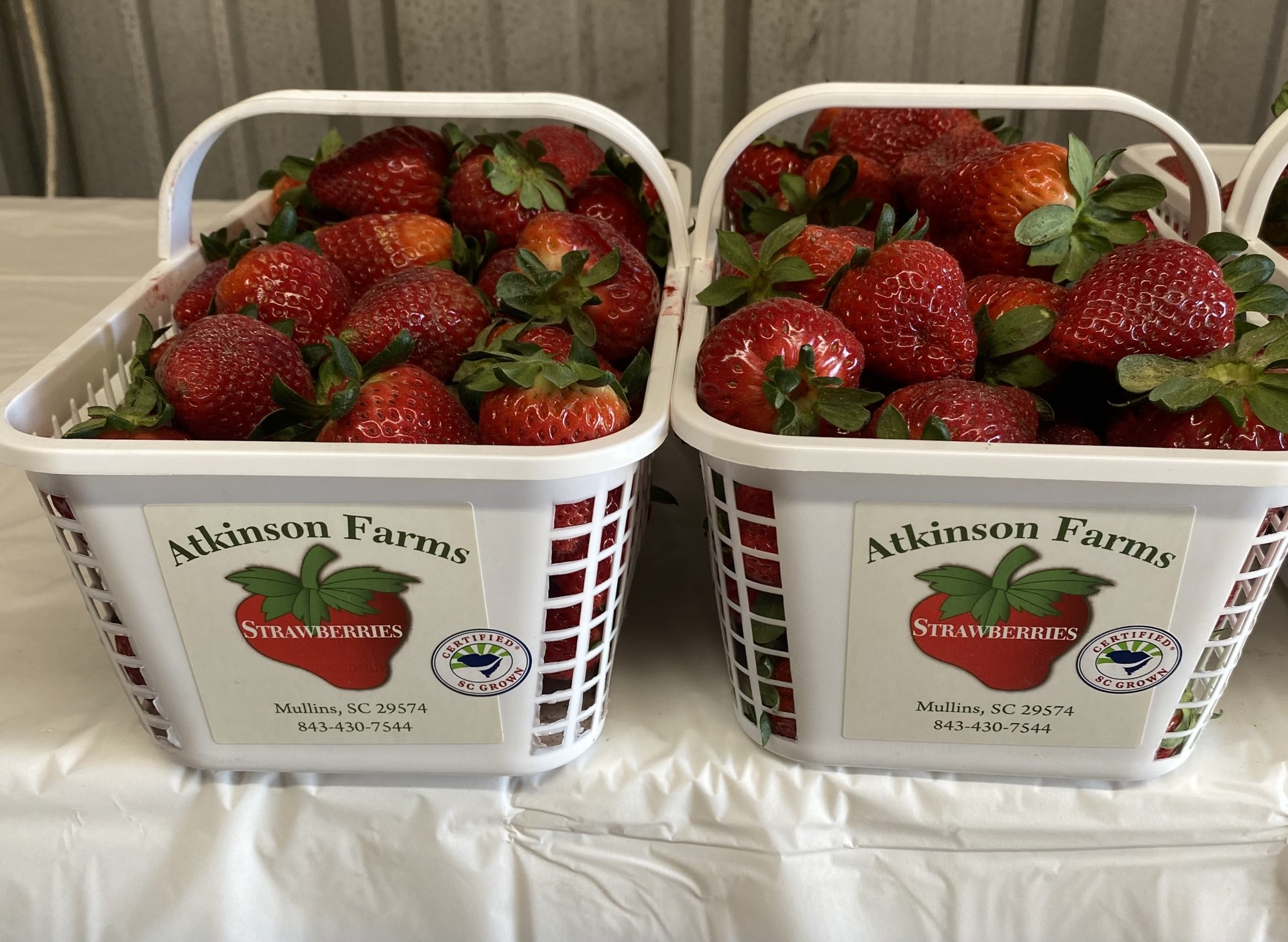 April Grower Spotlight – Atkinson Farms – The South Carolina Grower